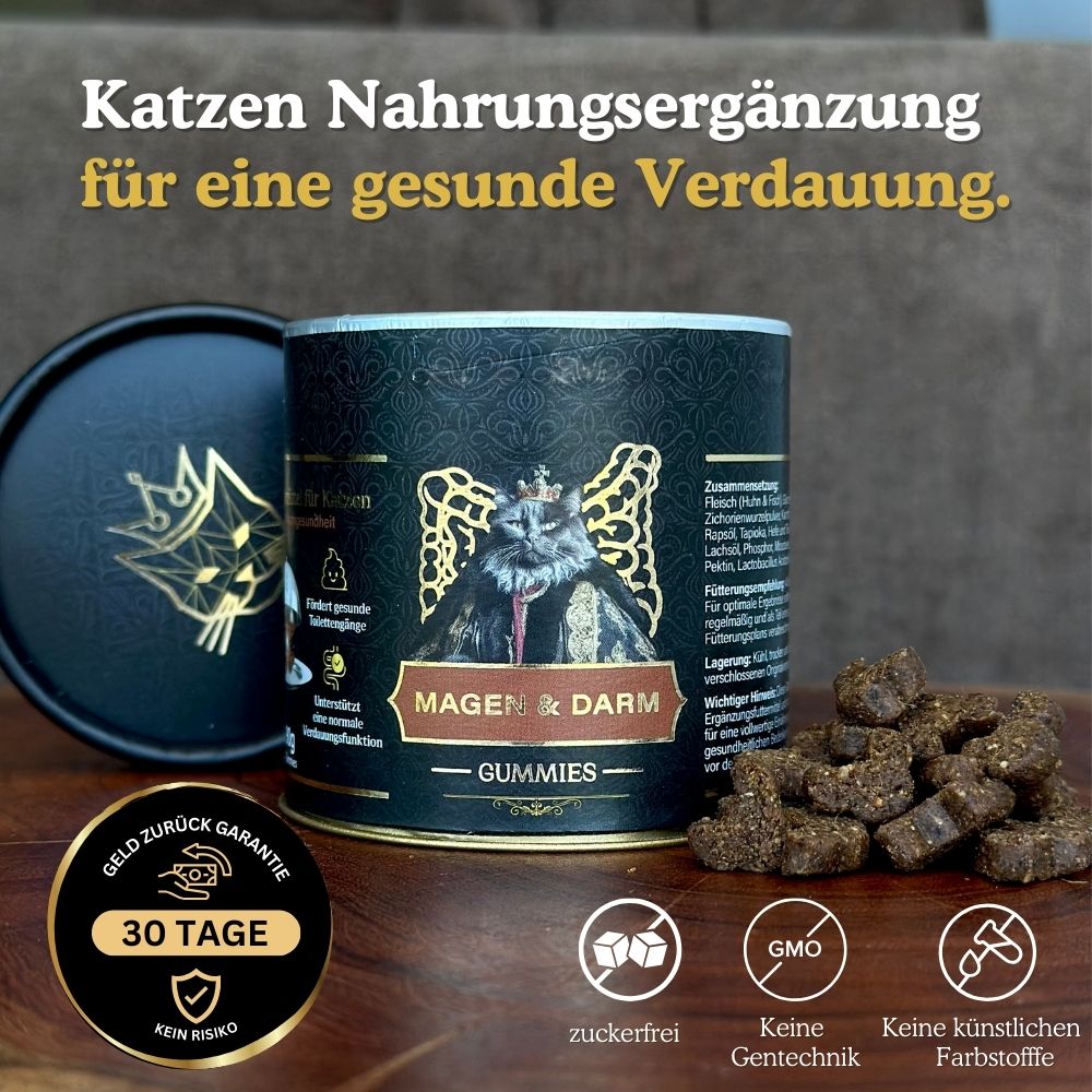 Gesunde Snacks für deine Katze